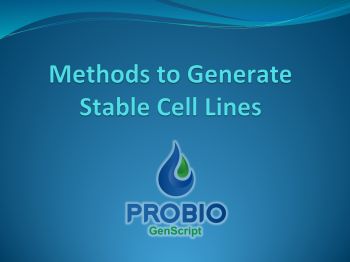 Methods to Generate Stable Cell Lines - genscript.seo Flip PDF | AnyFlip