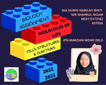 BIOLOGY ASSIGNMENT 20222023 - m-6386299 Flip PDF | AnyFlip