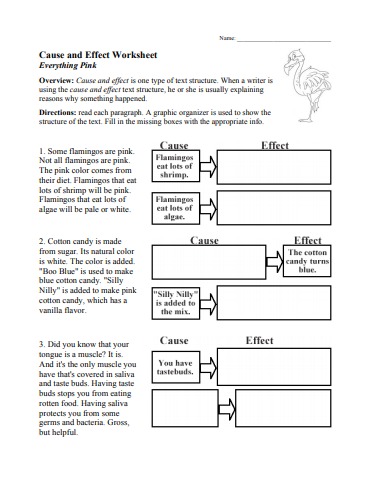 Cause And Effect Text Structure