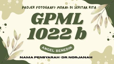 GPML 1022 b
