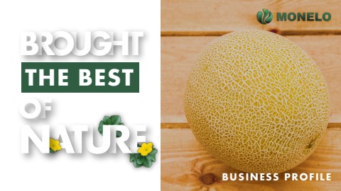 Monelo Corporate Branding_Flyers