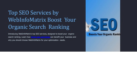 Top SEO Services by WebInfoMatrix Boost Your Organic Search Ranking - topdigitalmarketing Flip ...