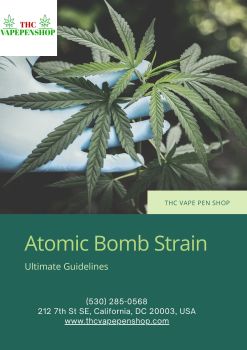 Everything You Need to Know About Atomic Bomb Strain - Thc Vape Pen ...