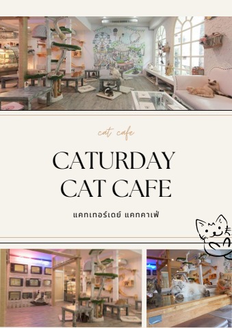 catn cafe (1) - TS1-6_23_Sutthaporn Kaewkrajang Flip PDF | AnyFlip
