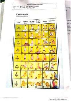 1.1.4 KARTU DDTK - nurultrianiwnt Flip PDF | AnyFlip