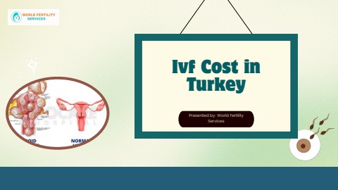 Ivf Cost In Turkey | World Fertility Services