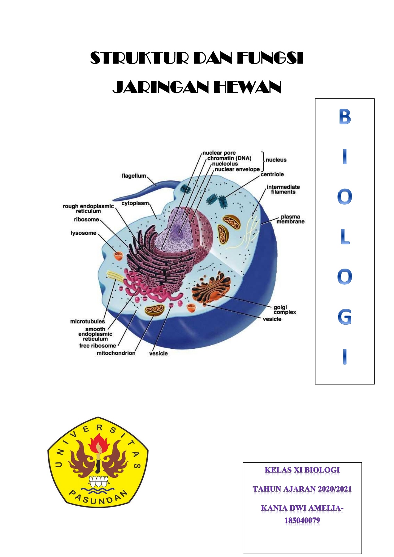 Jaringan Hewan CBN Fiber CBN Fiber Added A New Photo.